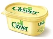 Alimentación :: Lácteos :: Mantequilla :: CLOVER Original 24 x 500gr